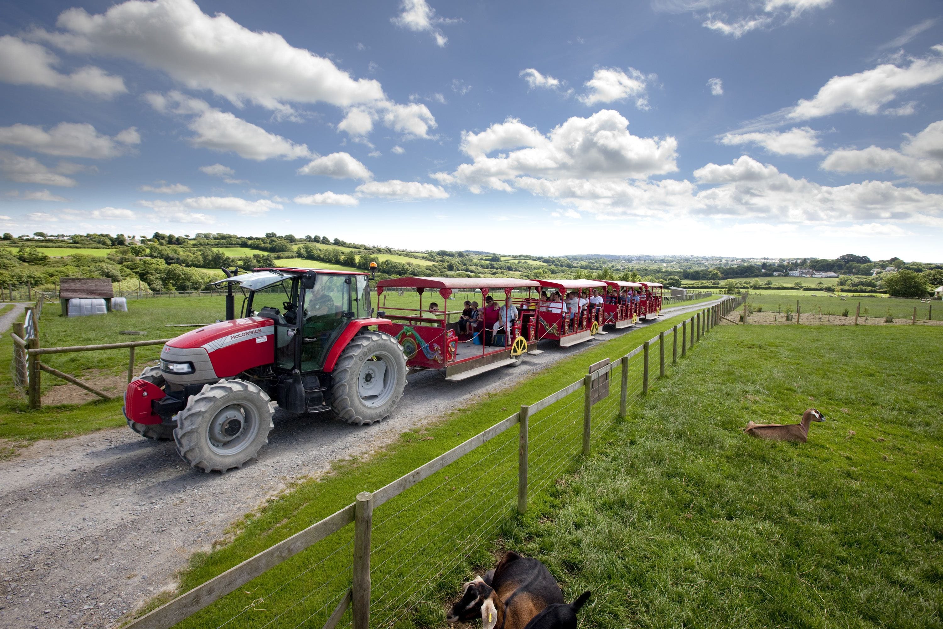 Kid's Farm & Farm Park • The Jolly Barn at Folly Farm