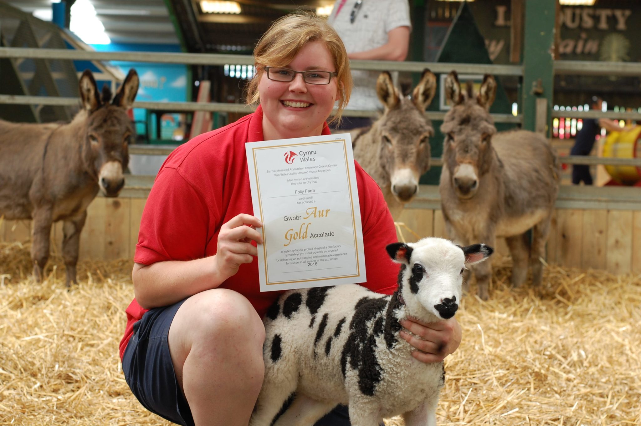 About us • Folly Farm