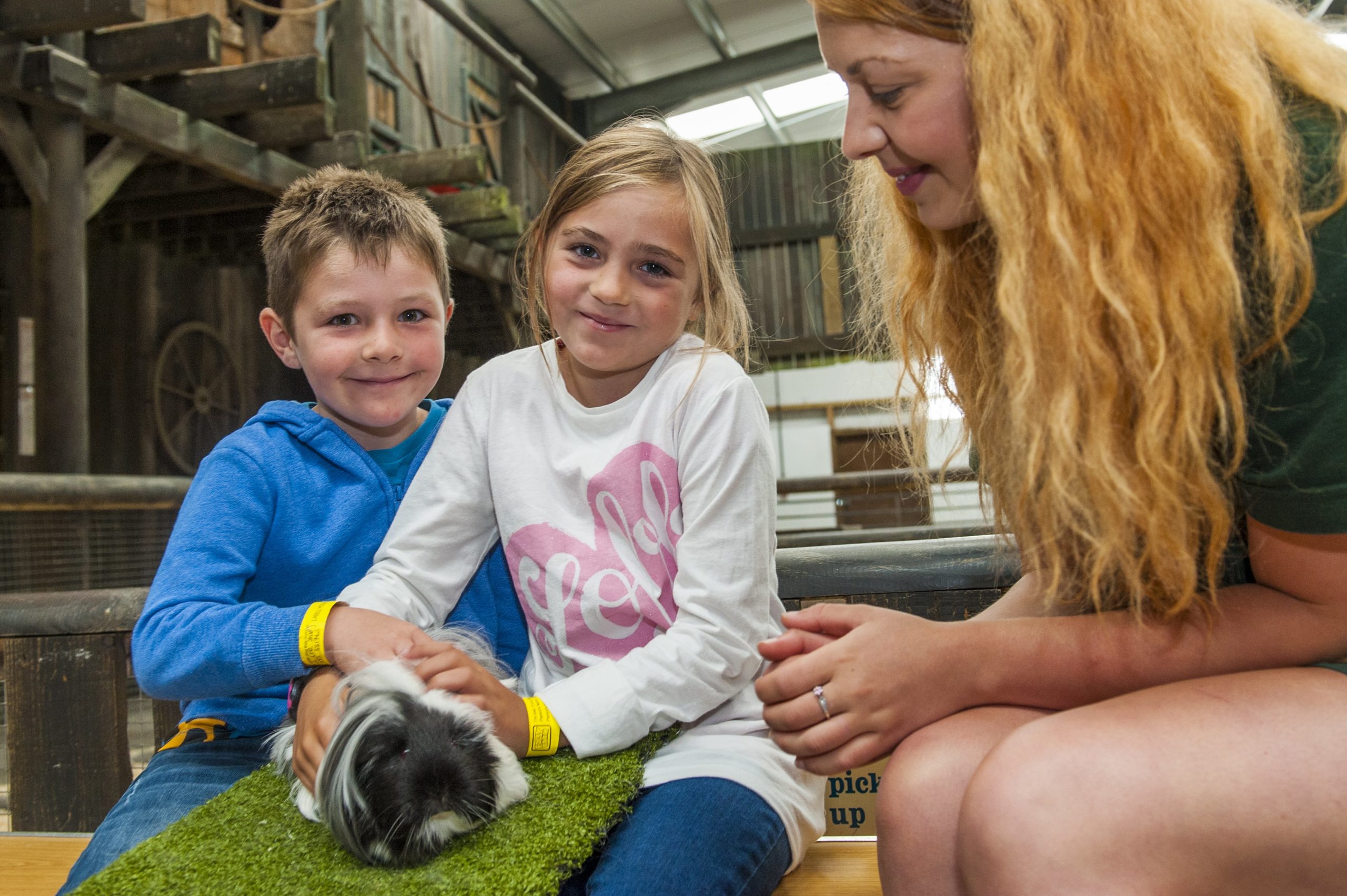 Farm Supervisor - Job Opportunity At Folly Farm