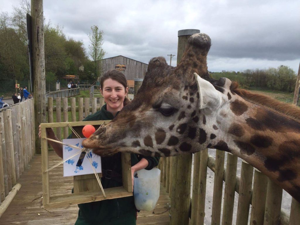 World Giraffe Day at Folly Farm Adventure Park & Zoo • Folly Farm