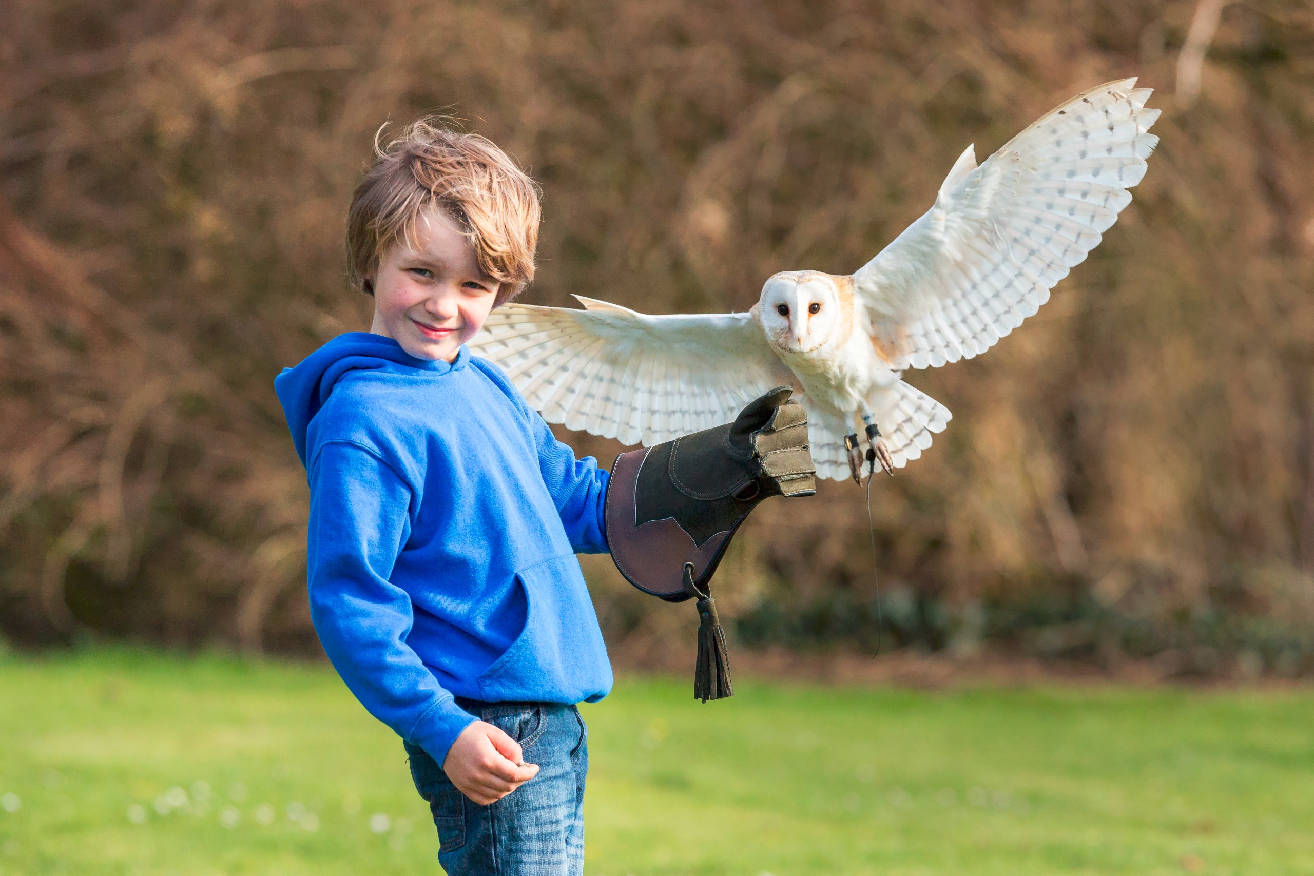 The Secret Owl Garden at Folly Farm • Folly Farm