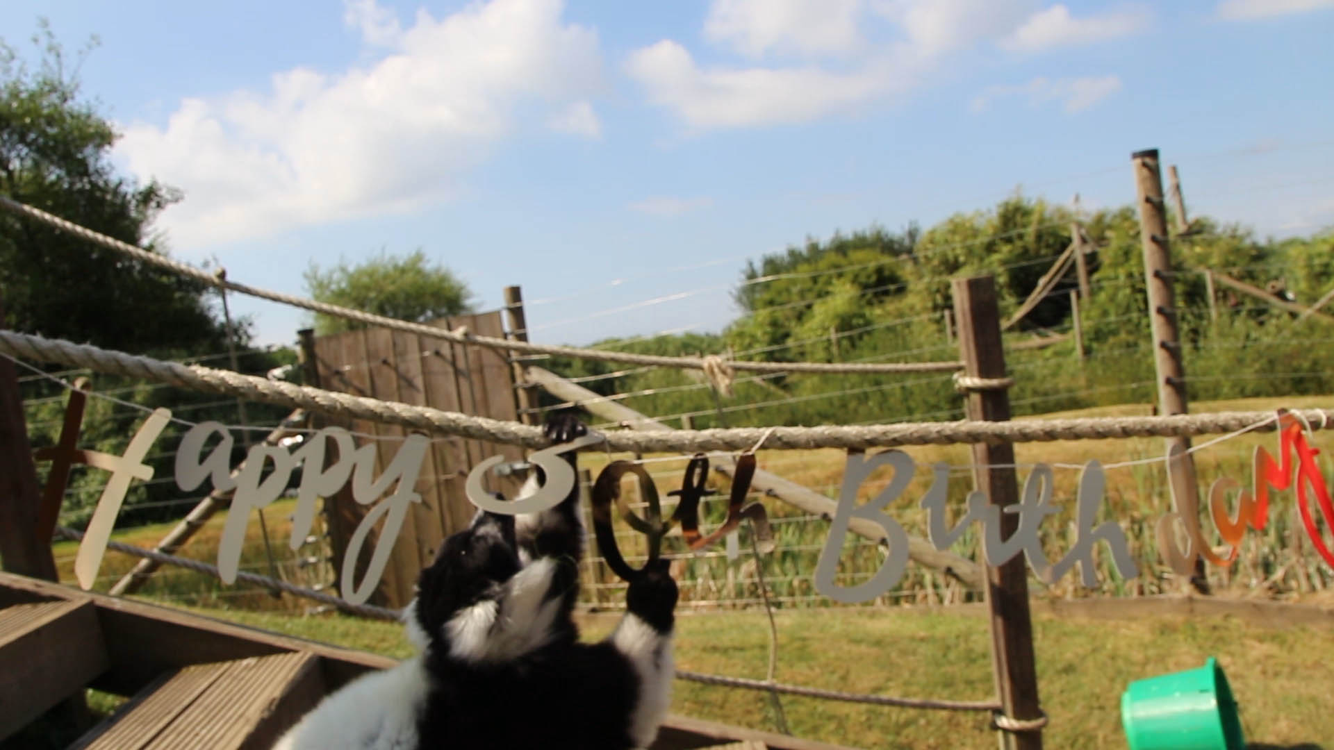 30 Years of Folly Farm • From Dairy Farm To 10th Best Zoo In The World