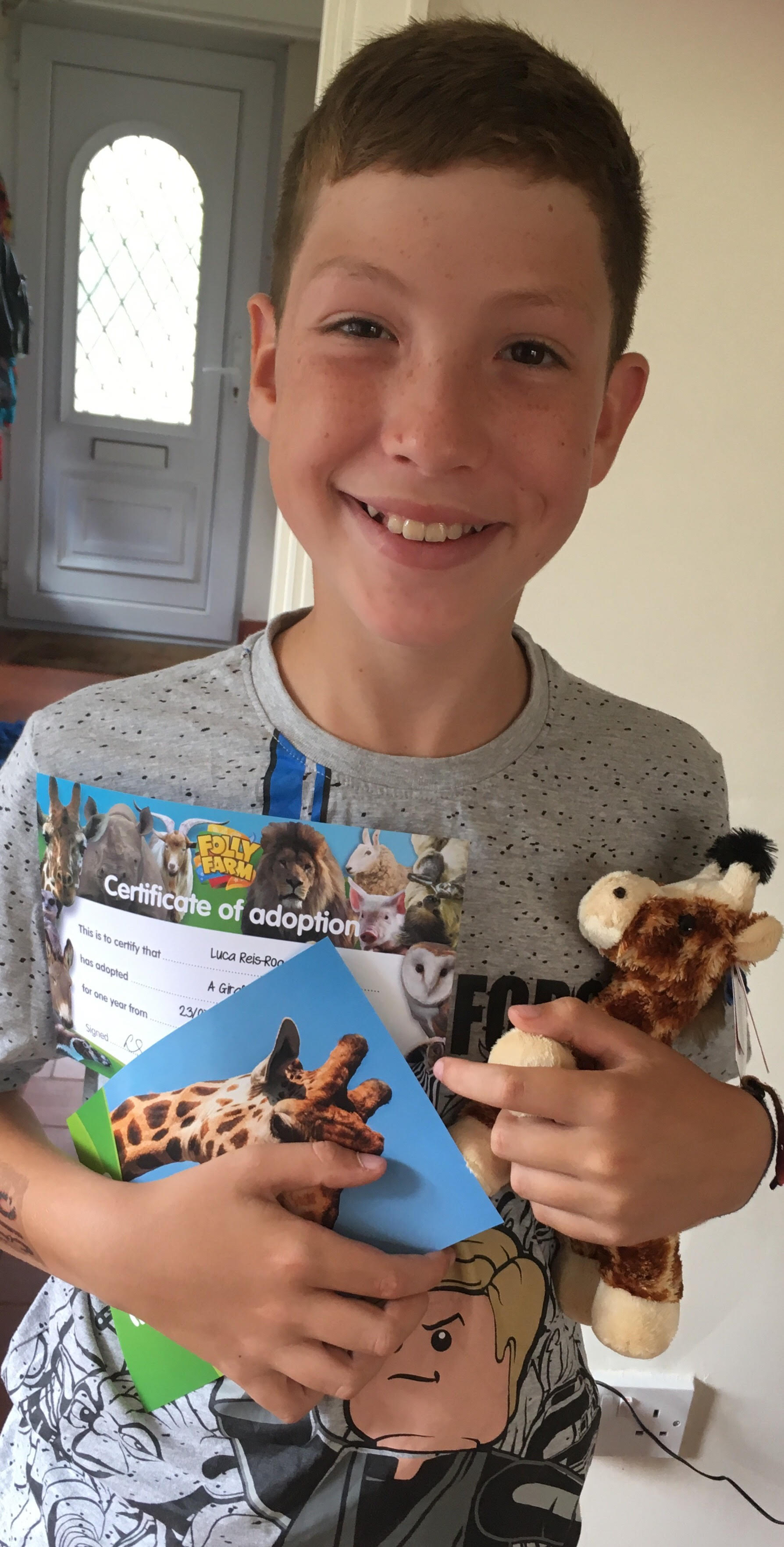 Adopt a Giraffe in the UK • Sponsor a Giraffe Gift Packs • Folly Farm