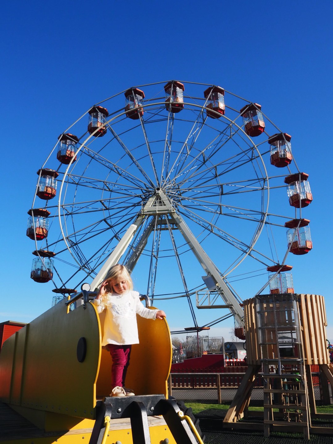 Tiggy's Folly Farm Fun In The Glorious October Sunshine