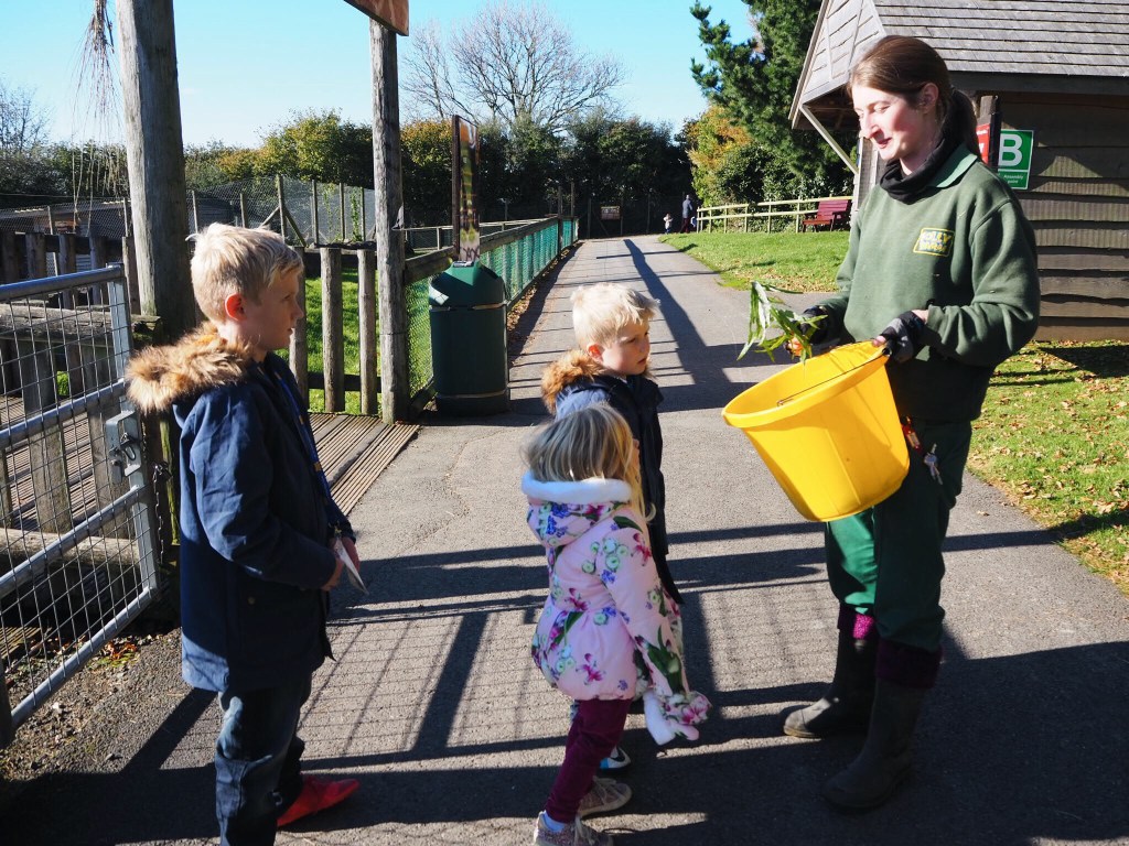 Tiggy's Folly Farm Fun In The Glorious October Sunshine