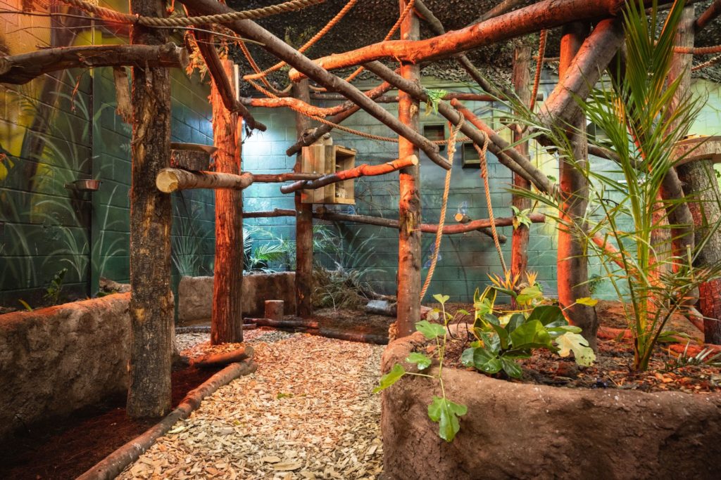 Elderly Sloths Get Retirement Home Upgrade • Folly Farm