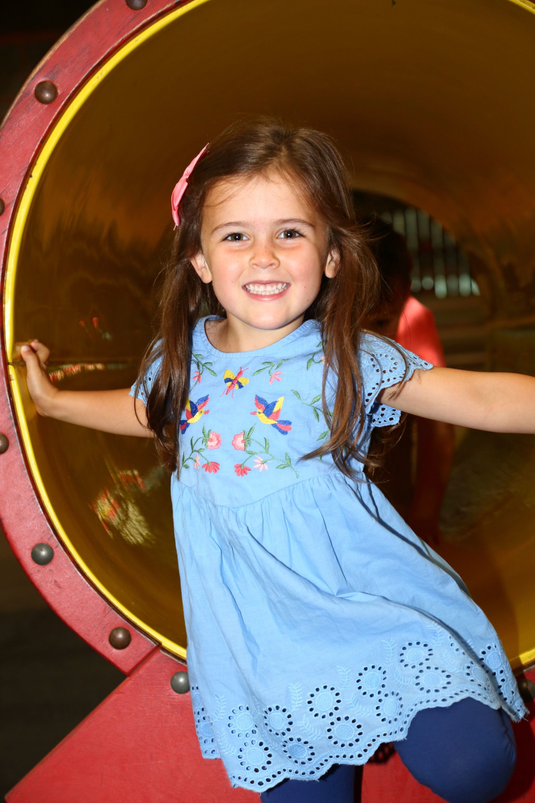 Opening Times for Folly Farm Adventure Park and Zoo in Pembrokeshire