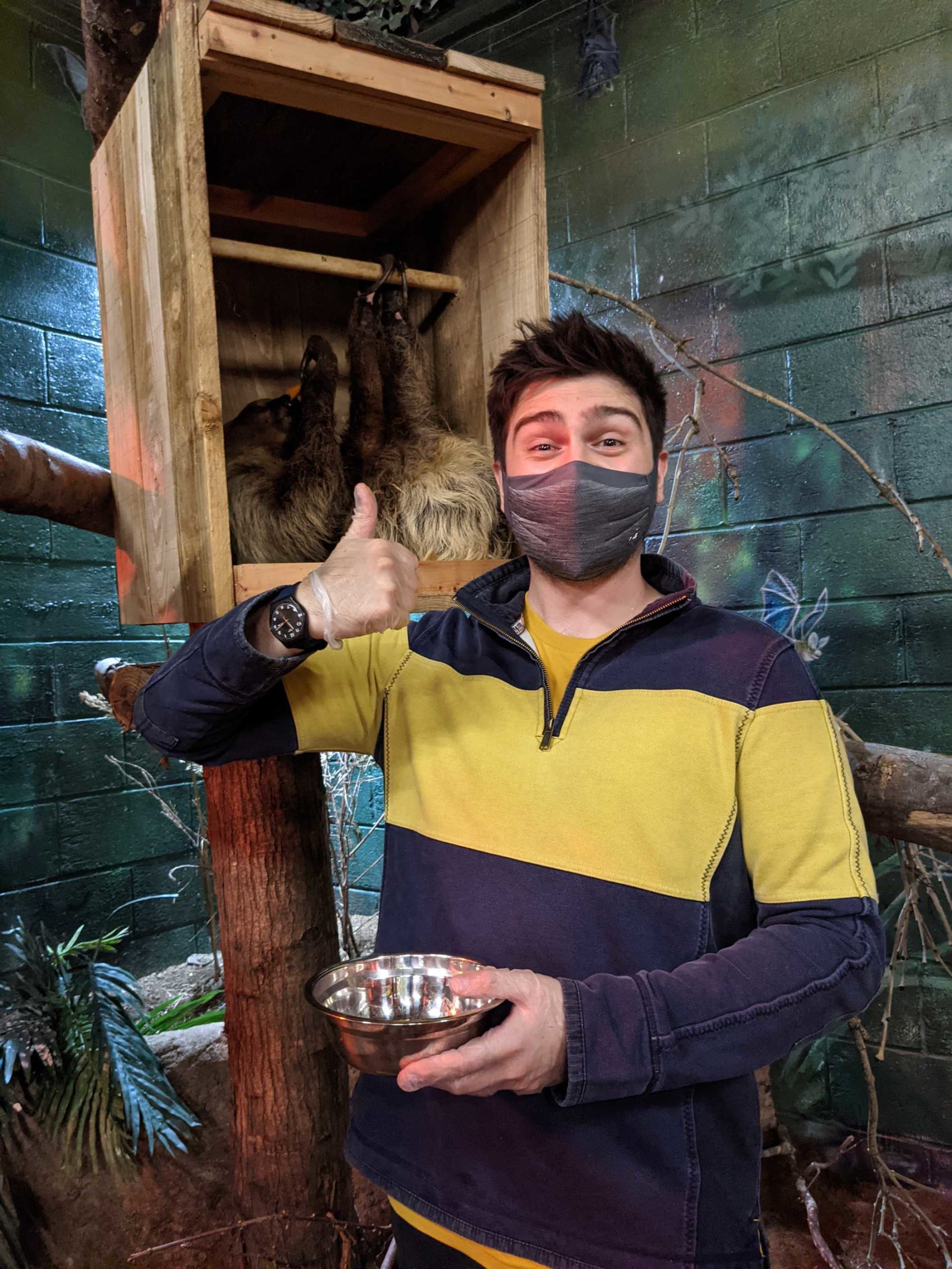 Sloth Experience UK • Meet a Sloth at Folly Farm Wales