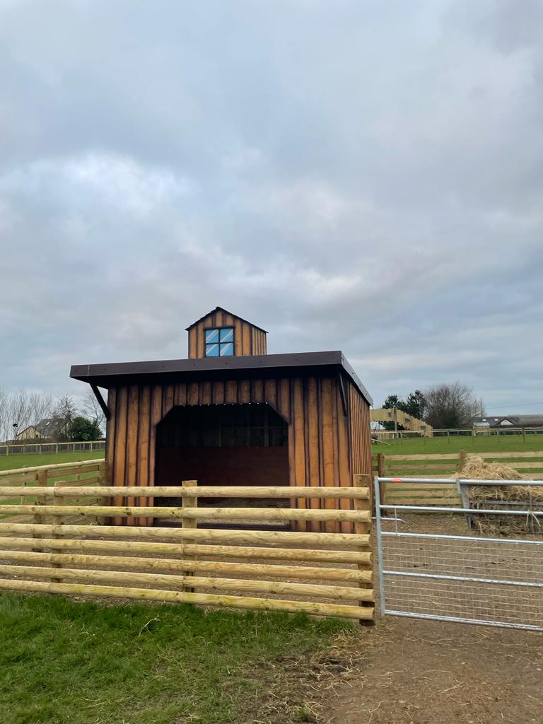 Big Dig Re-opens and Winter Works • Folly Farm