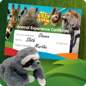 Sloth Experience UK • Meet a Sloth at Folly Farm Wales