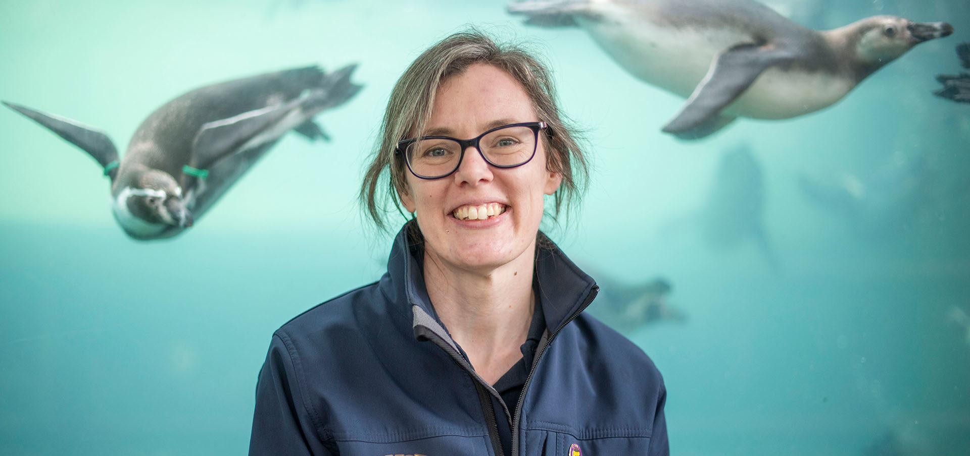 Jobs at Pembrokeshire at Folly Farm Adventure Park & Zoo in Wales