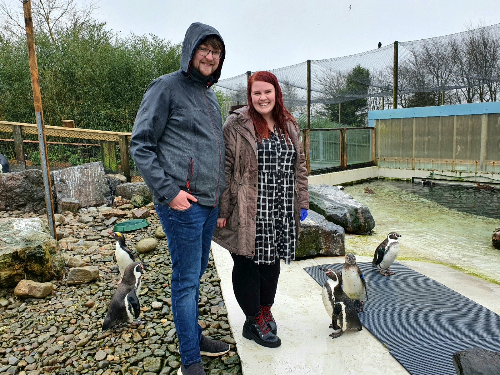 Penguin Experience UK • Feed the Penguins at Folly Farm
