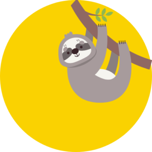 Sloth Experience UK • Meet a Sloth at Folly Farm Wales