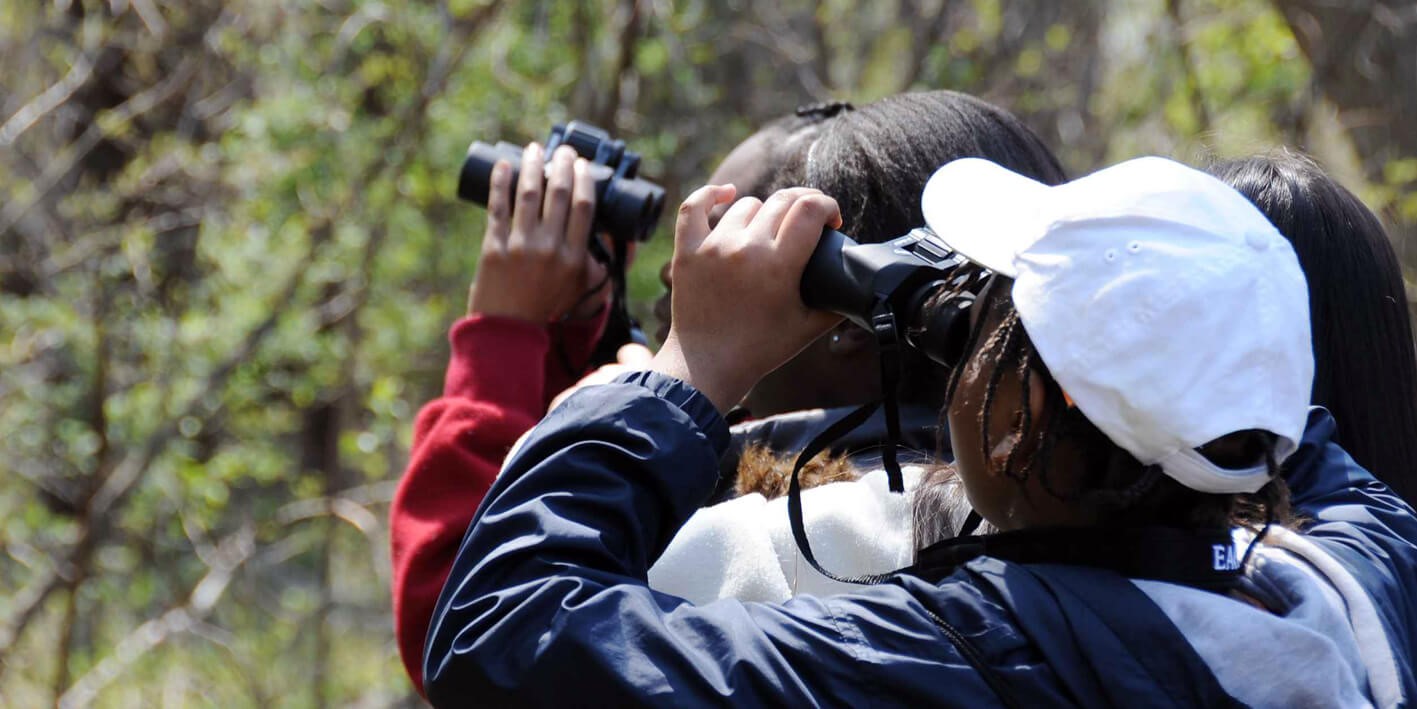 Keep Wildlife Safe Whilst Camping • Folly Farm & RSPB