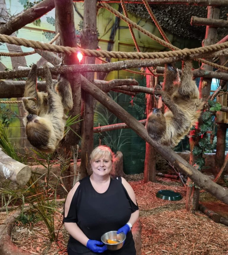 Sloth Experience UK • Meet a Sloth at Folly Farm Wales