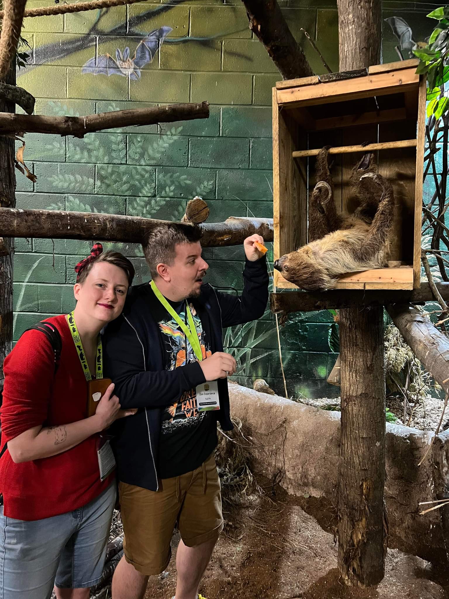 Sloth Experience UK • Meet a Sloth at Folly Farm Wales