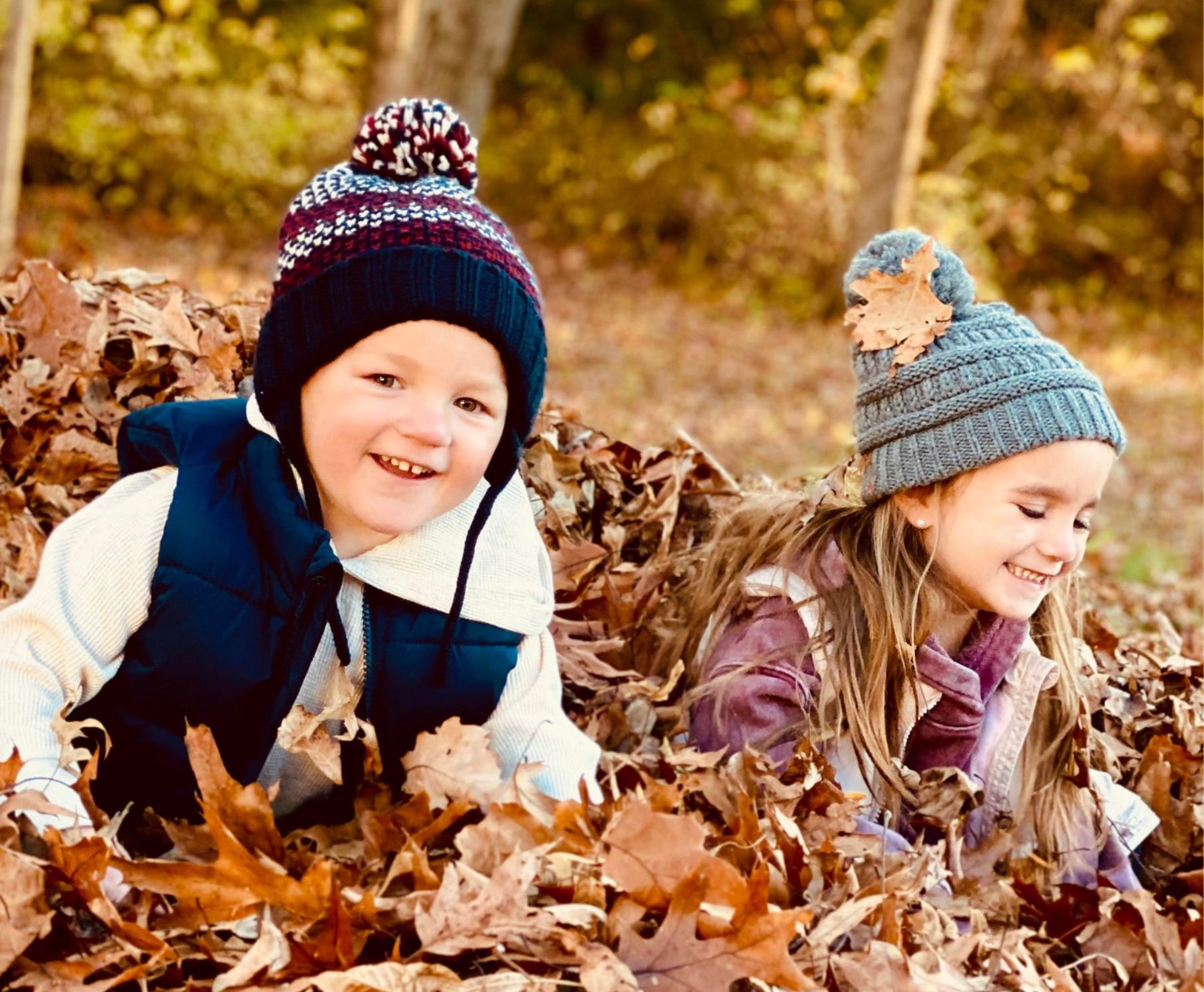 5 Things To Do For Wildlife • Folly Farm