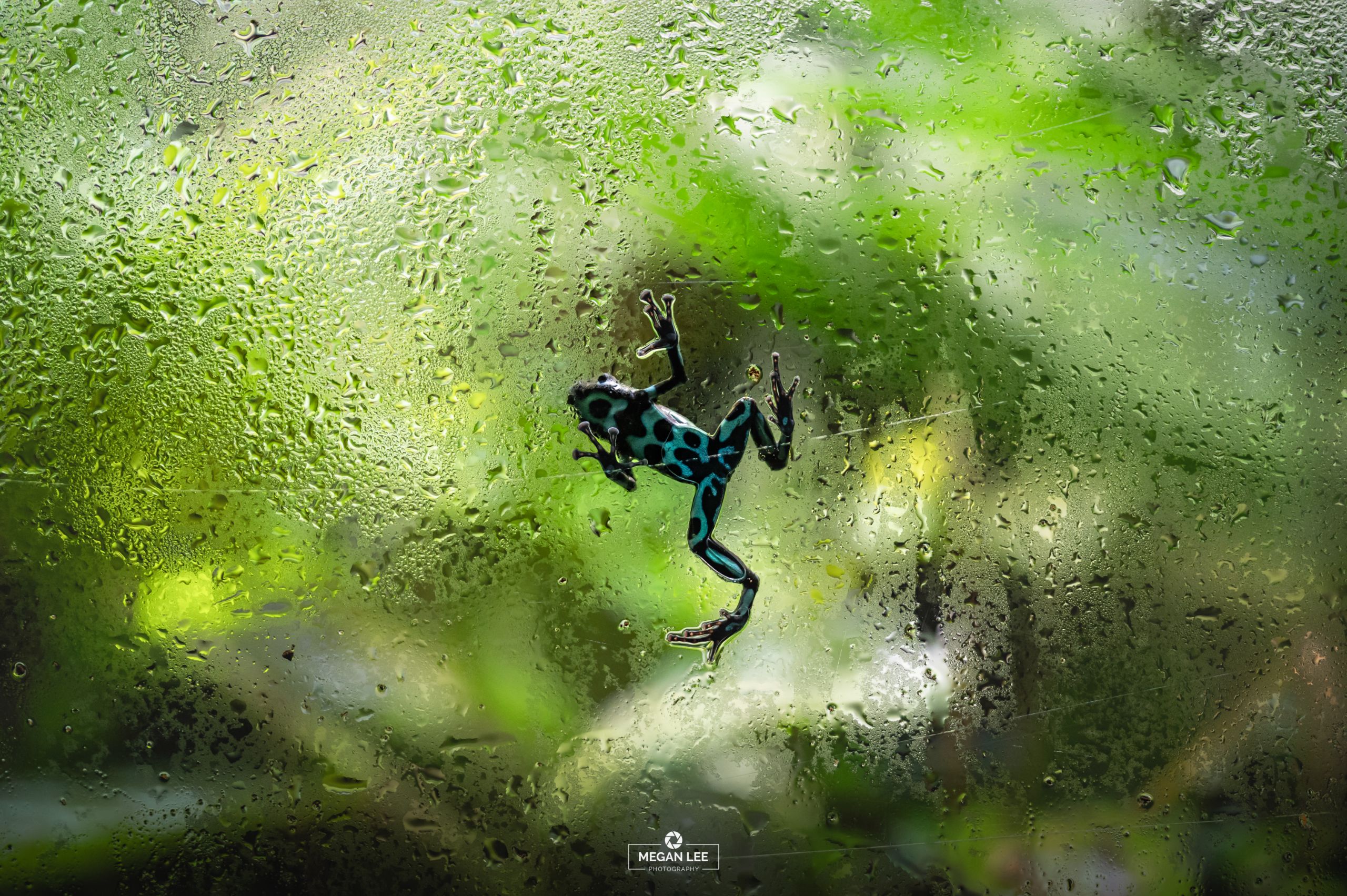 Vital Venoms and Practical Poisons • Folly Farm