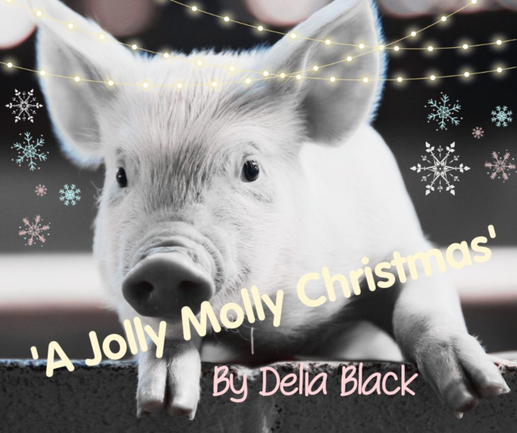 A Jolly Molly Christmas by Delia Black • Folly Farm