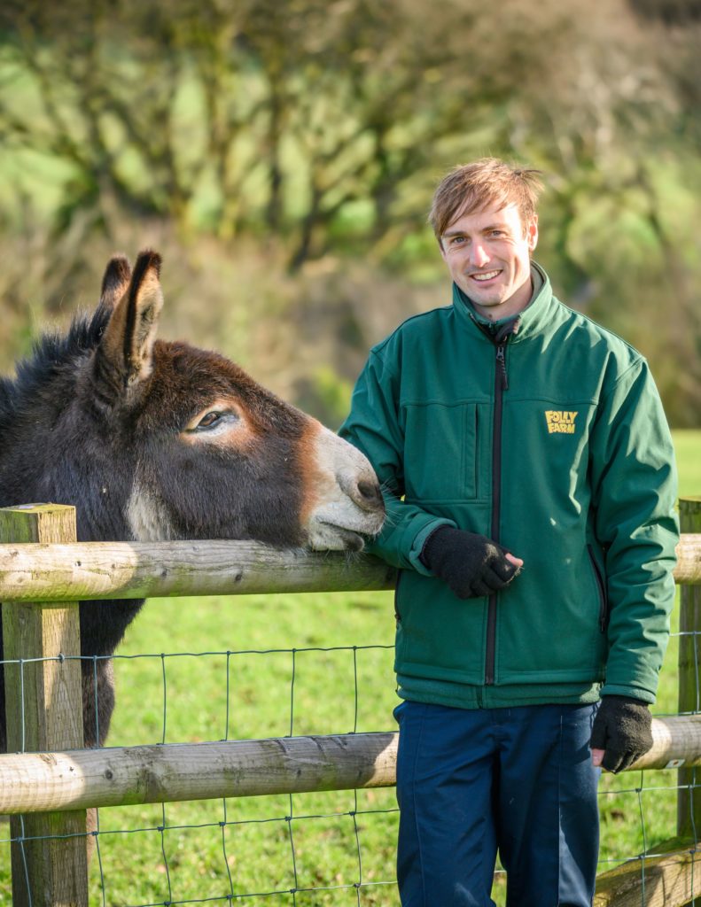 Only Welsh Farm Park With Rare Breed Status • Folly Farm