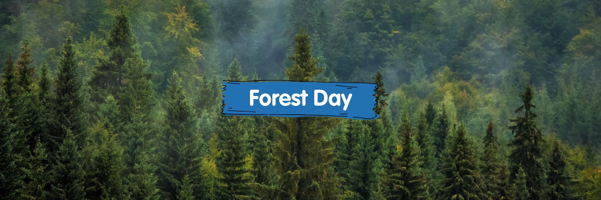 Forest Day • Folly Farm