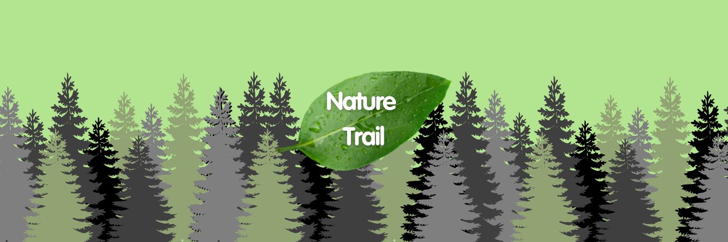 Nature Trail • Folly Farm