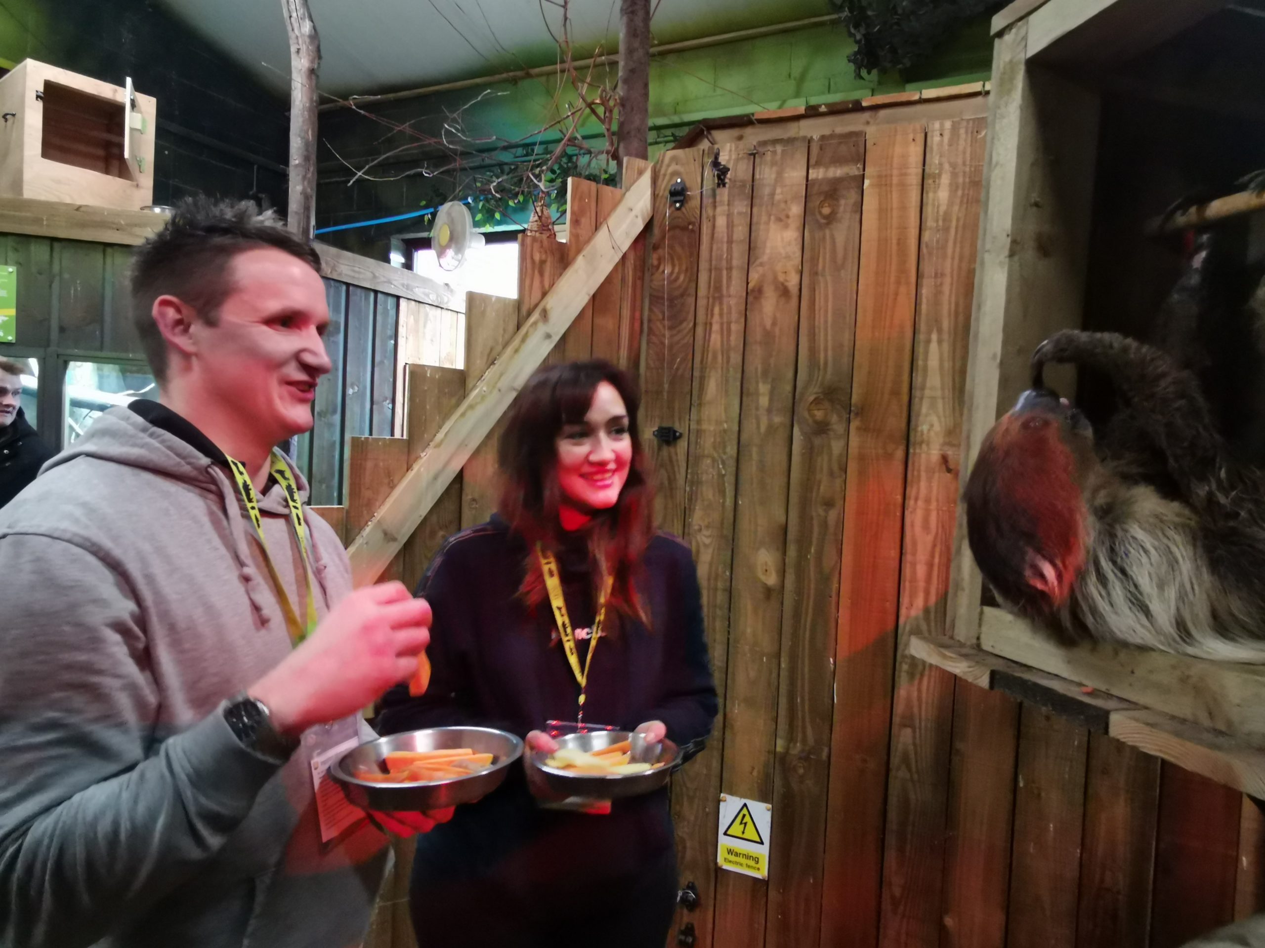 Sloth Experience UK • Meet a Sloth at Folly Farm Wales