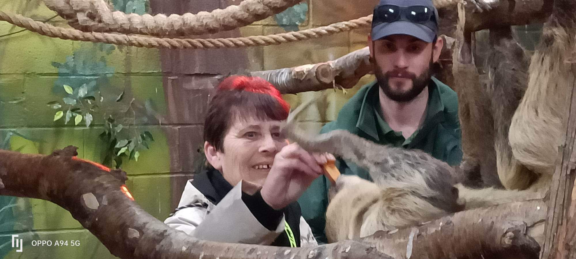 Sloth Experience UK • Meet a Sloth at Folly Farm Wales