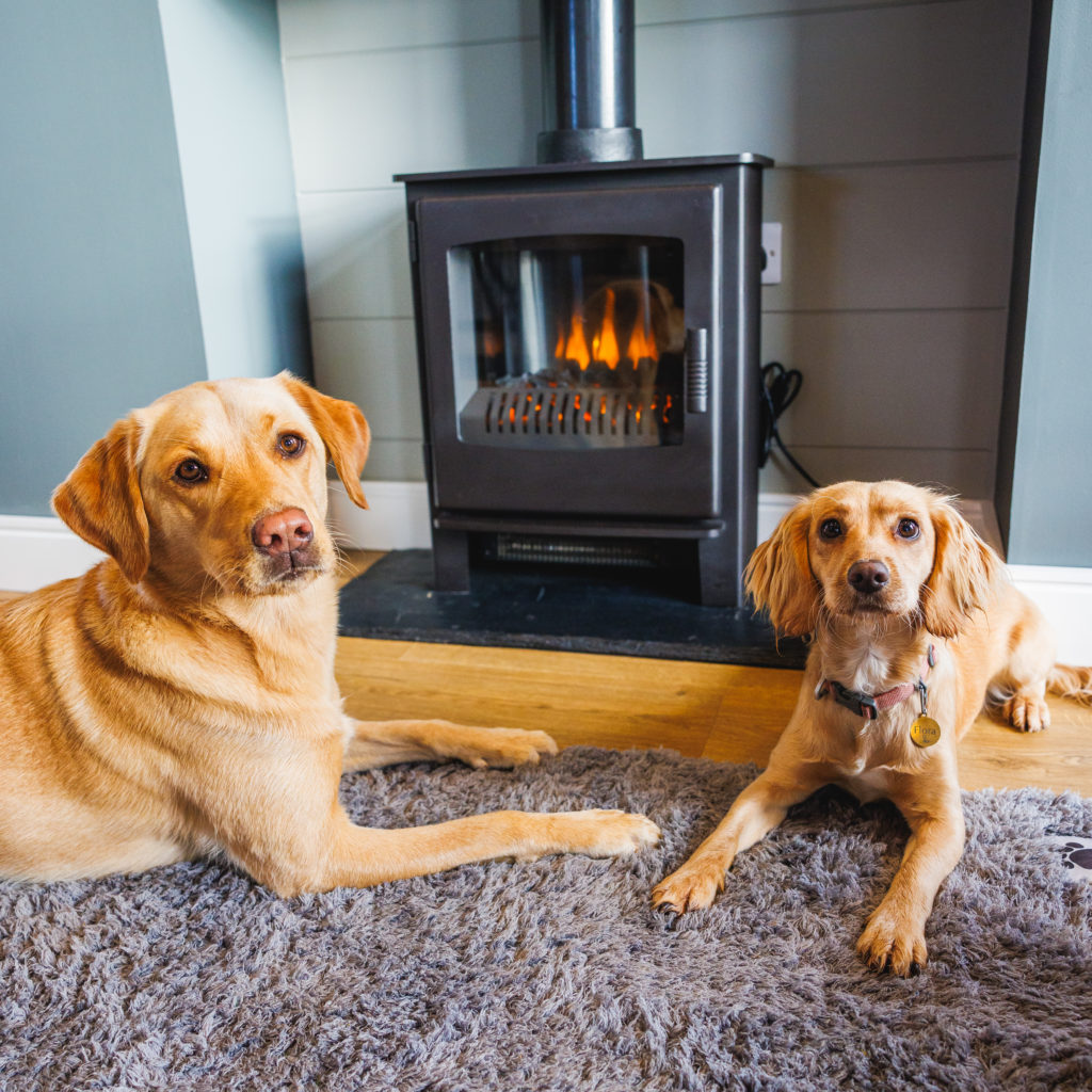 Pet Friendly Holidays in Pembrokeshire • Folly Farm Holiday Park