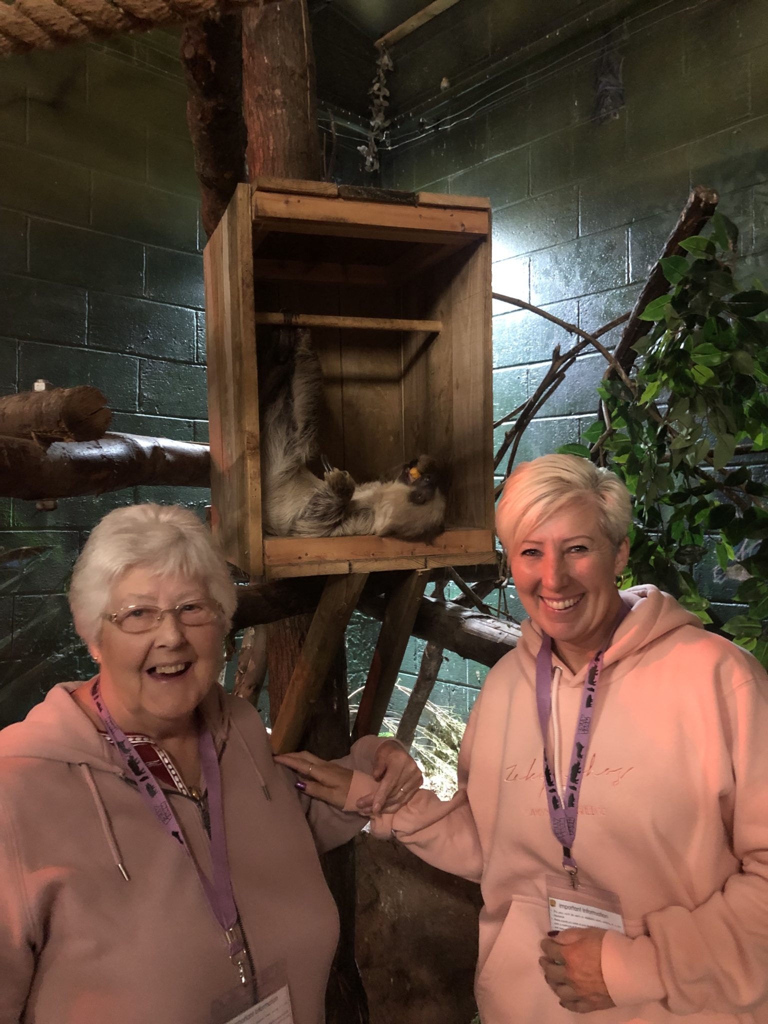 Sloth Experience UK • Meet a Sloth at Folly Farm Wales