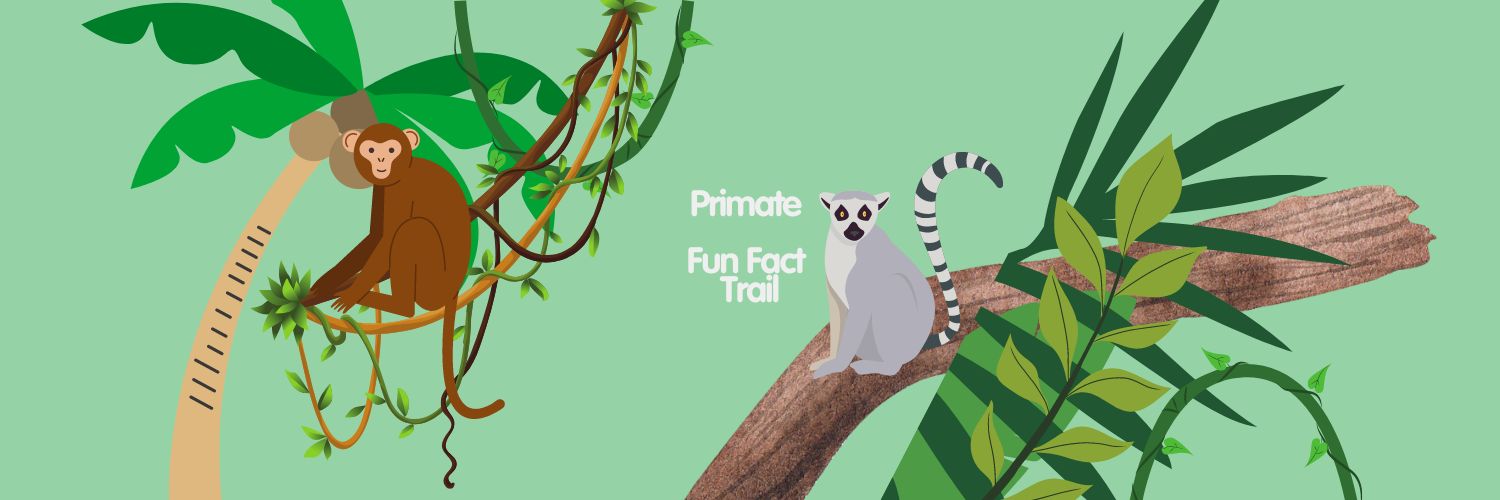 Primate Fun Fact Trail • Folly Farm