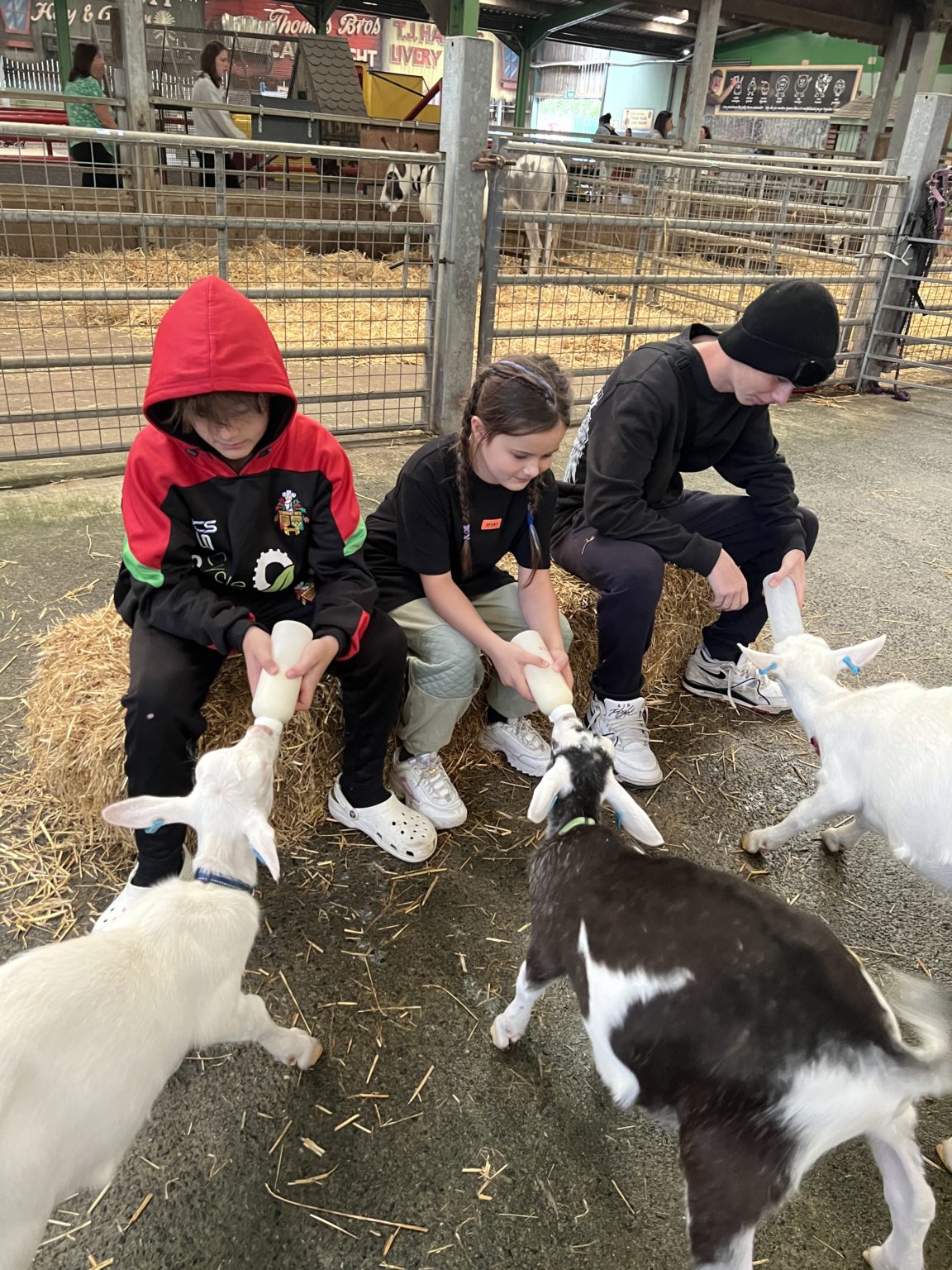 Kid's Farm & Farm Park • The Jolly Barn at Folly Farm