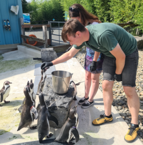 Penguin Experience UK • Feed the Penguins at Folly Farm