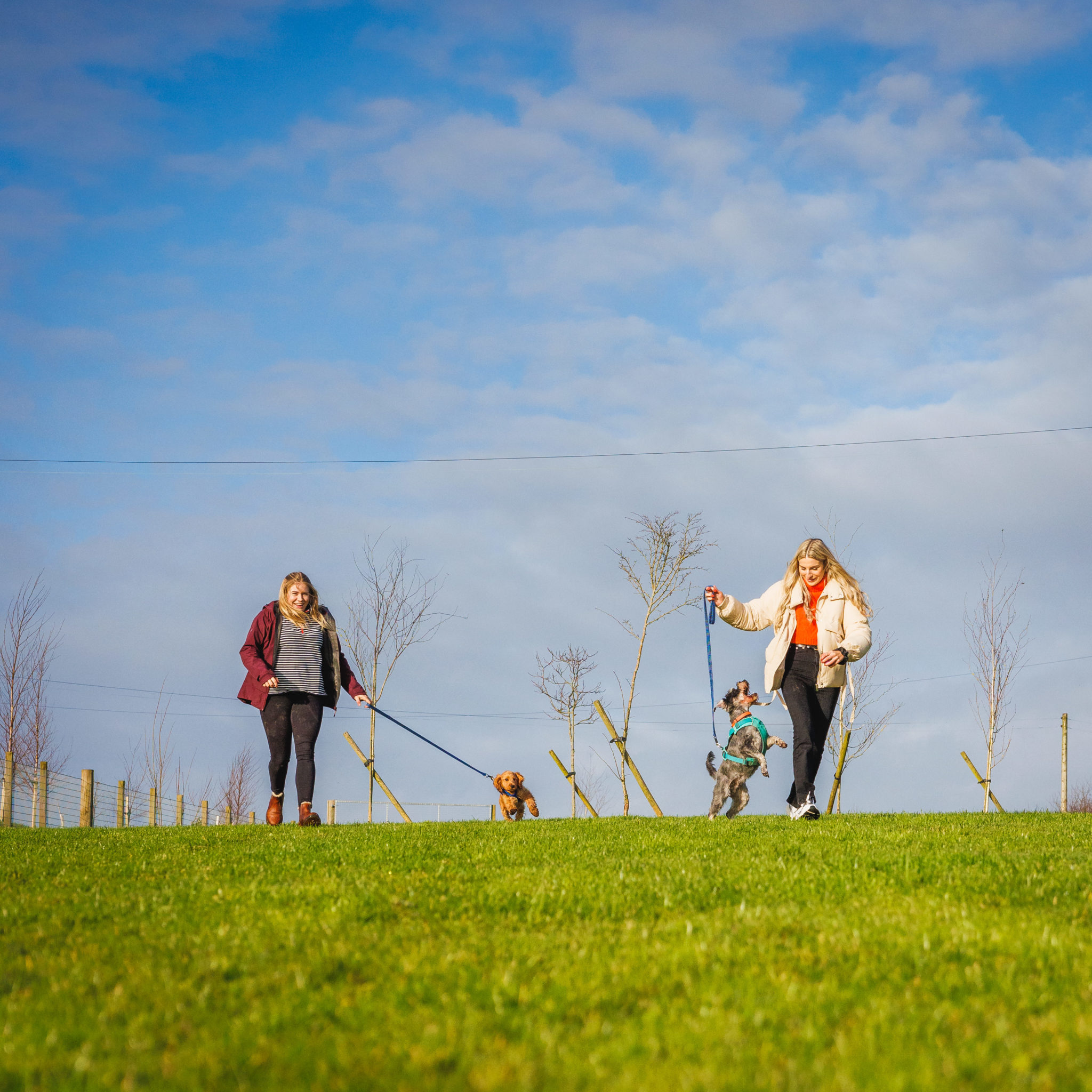 Pet Friendly Holidays in Pembrokeshire • Folly Farm Holiday Park