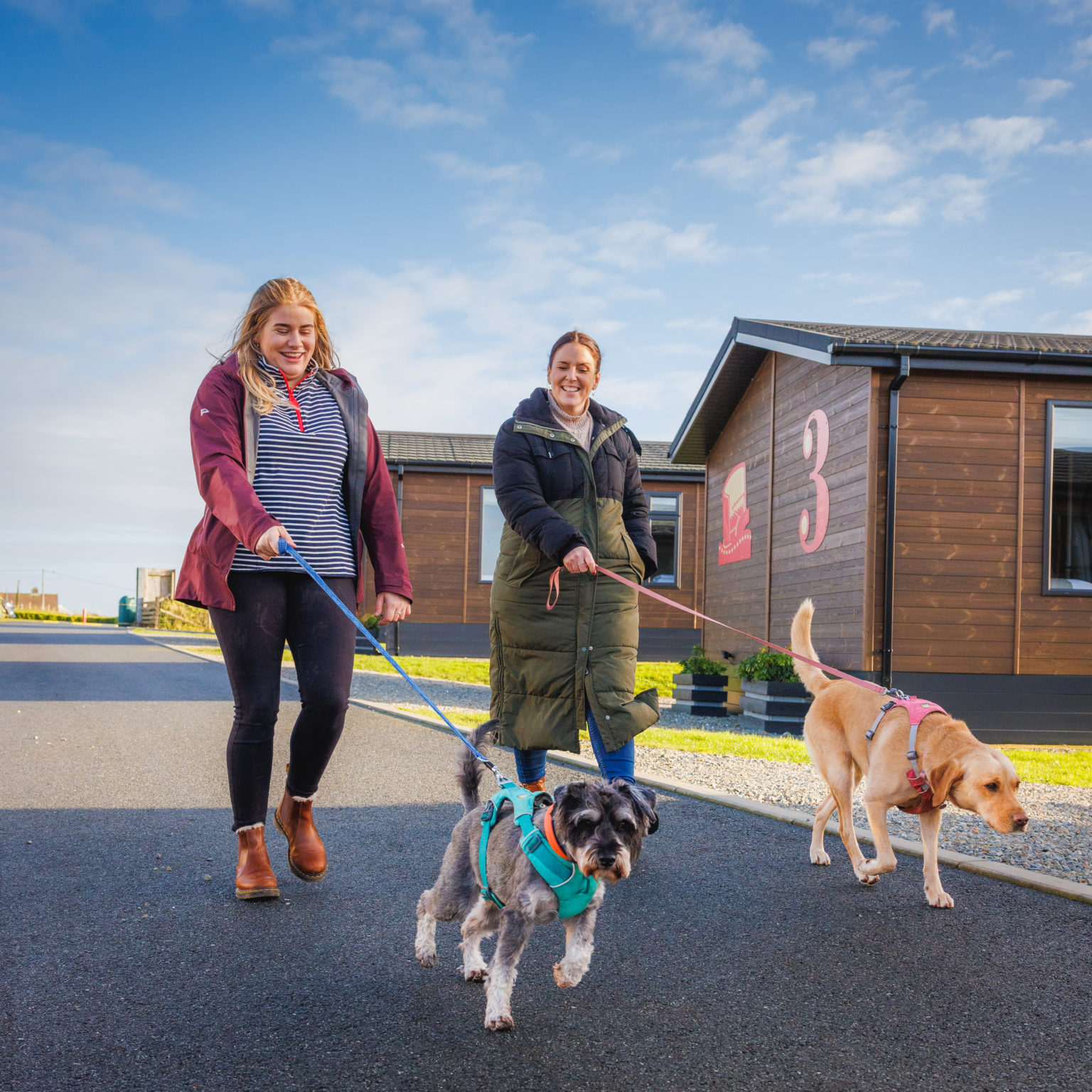 Pet Friendly Holidays in Pembrokeshire • Folly Farm Holiday Park