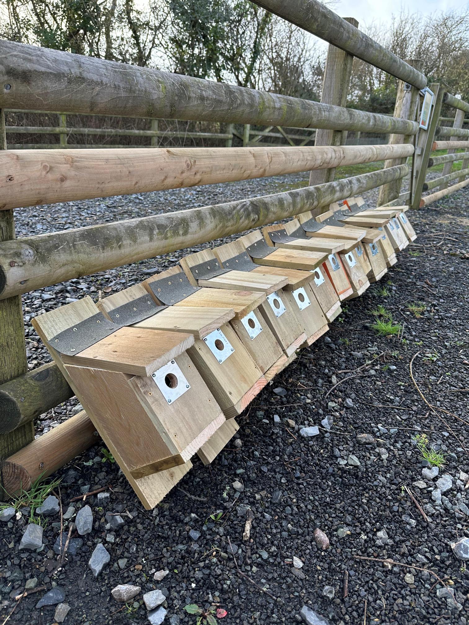 National Nestbox Week 2024 • Folly Farm