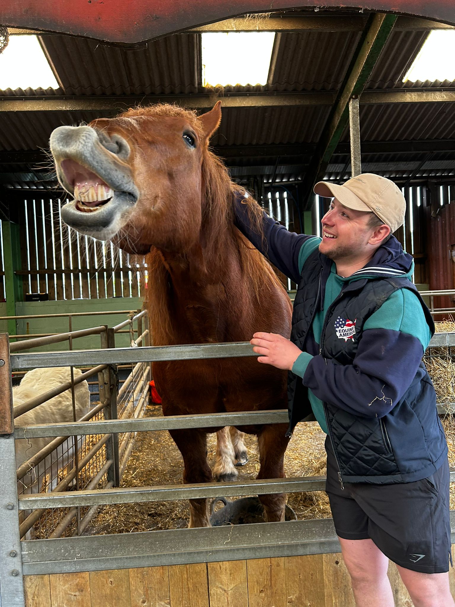 Folly Farm Adventure Park and Zoo 🏆 Family Favourites Award Winner