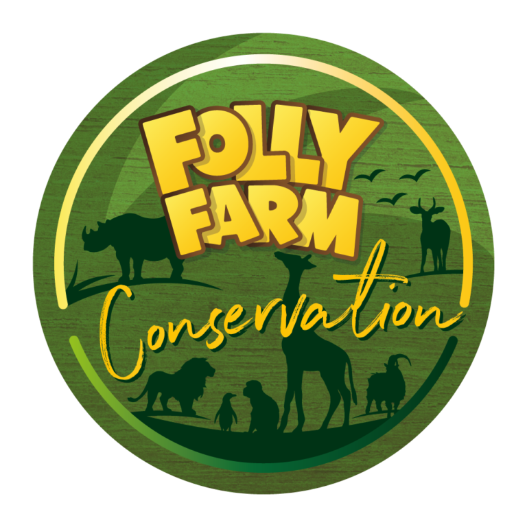 Animal Conservation at Folly Farm Adventure Park and Zoo in Wales