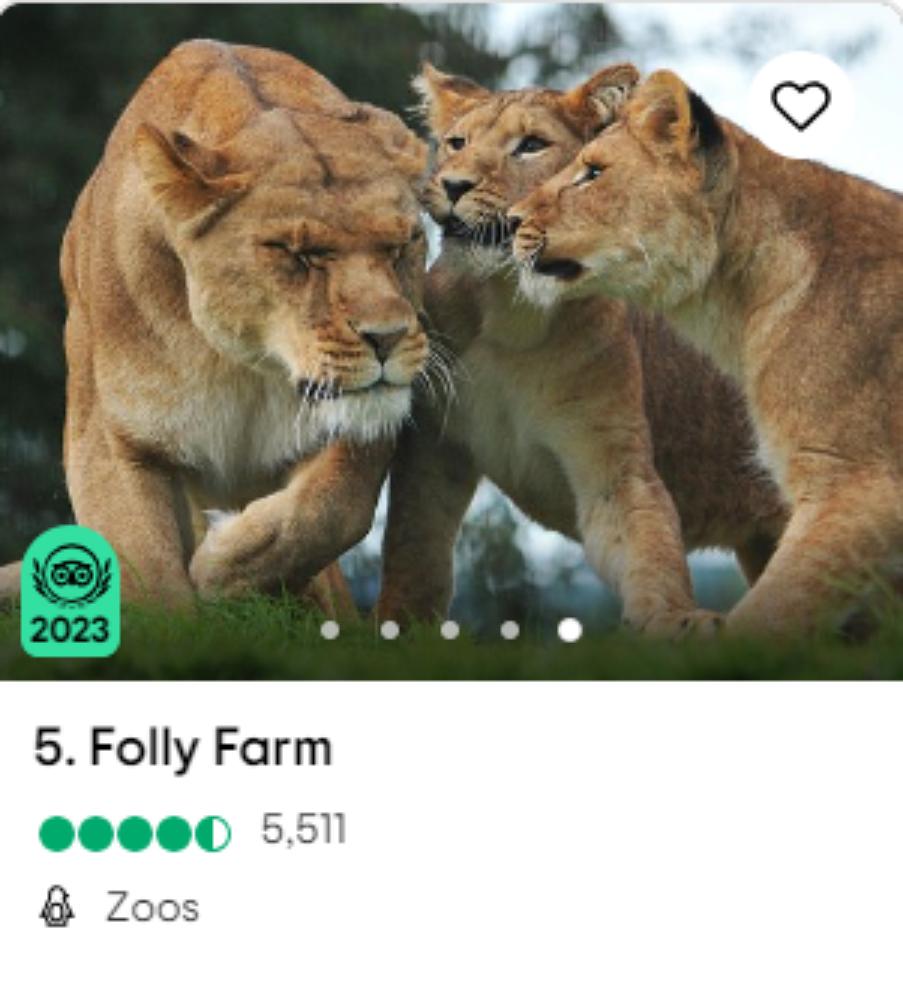 Folly Farm Adventure Park and Zoo 🏆 Family Favourites Award Winner