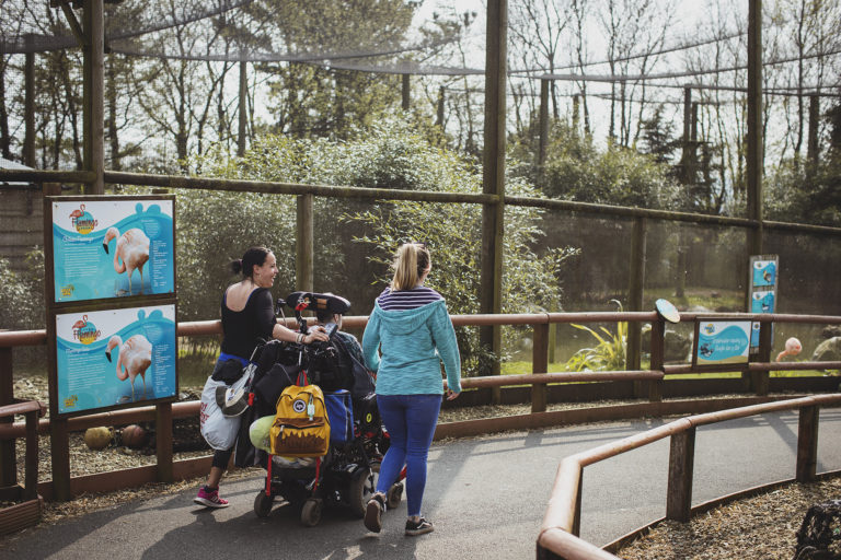 Folly Farm Adventure Park and Zoo with Holiday Park 🏆 Family Favourites ...