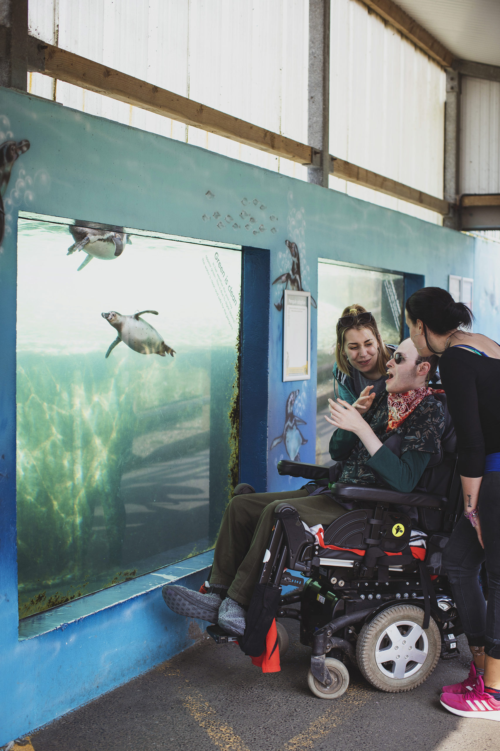 Plan Your Day • Folly Farm Adventure Park and Zoo