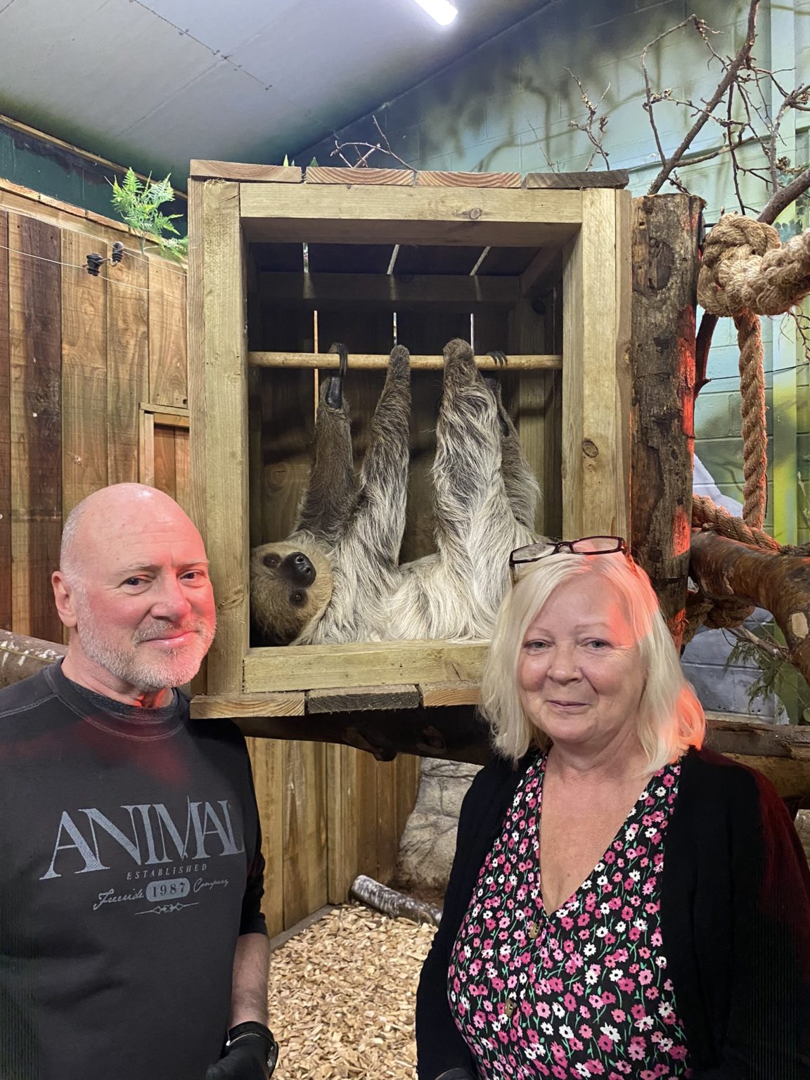 Sloth Experience UK • Meet a Sloth at Folly Farm Wales