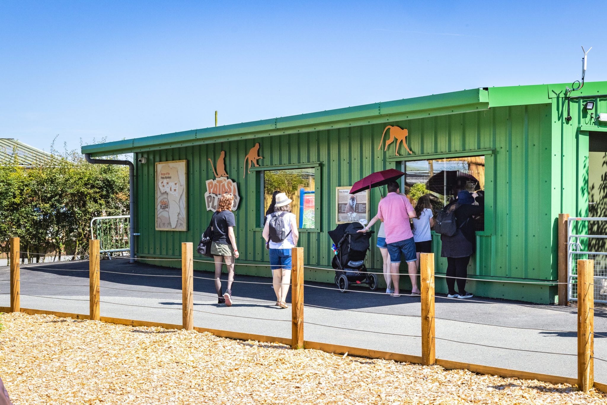 New Patas Plains Primate Enclosure Opens • Folly Farm