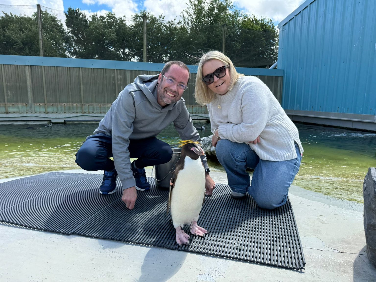 Penguin Experience UK • Feed the Penguins at Folly Farm