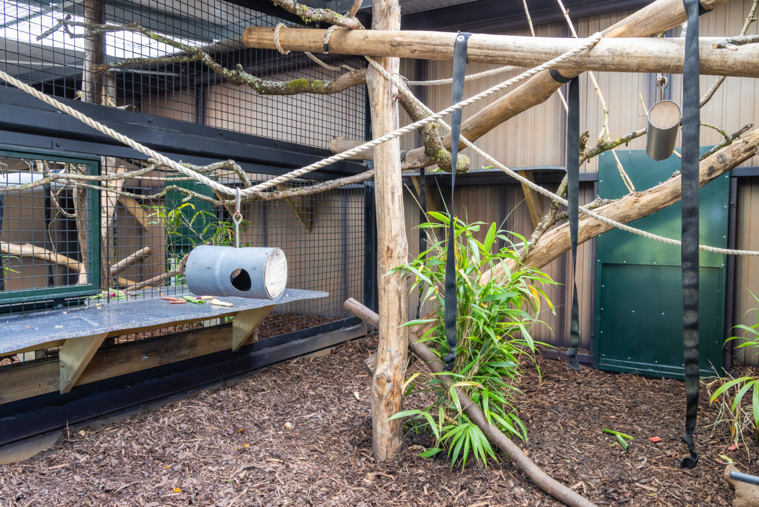 New Patas Plains Primate Enclosure Opens • Folly Farm