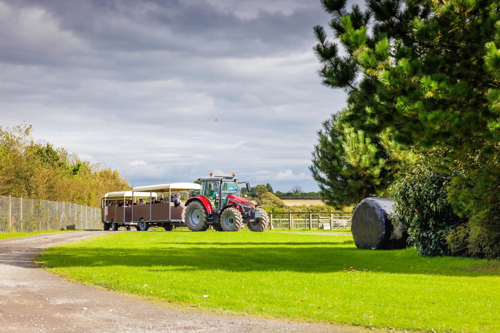 Land Train Ride at Folly Farm Adventure Park and Zoo in Wales