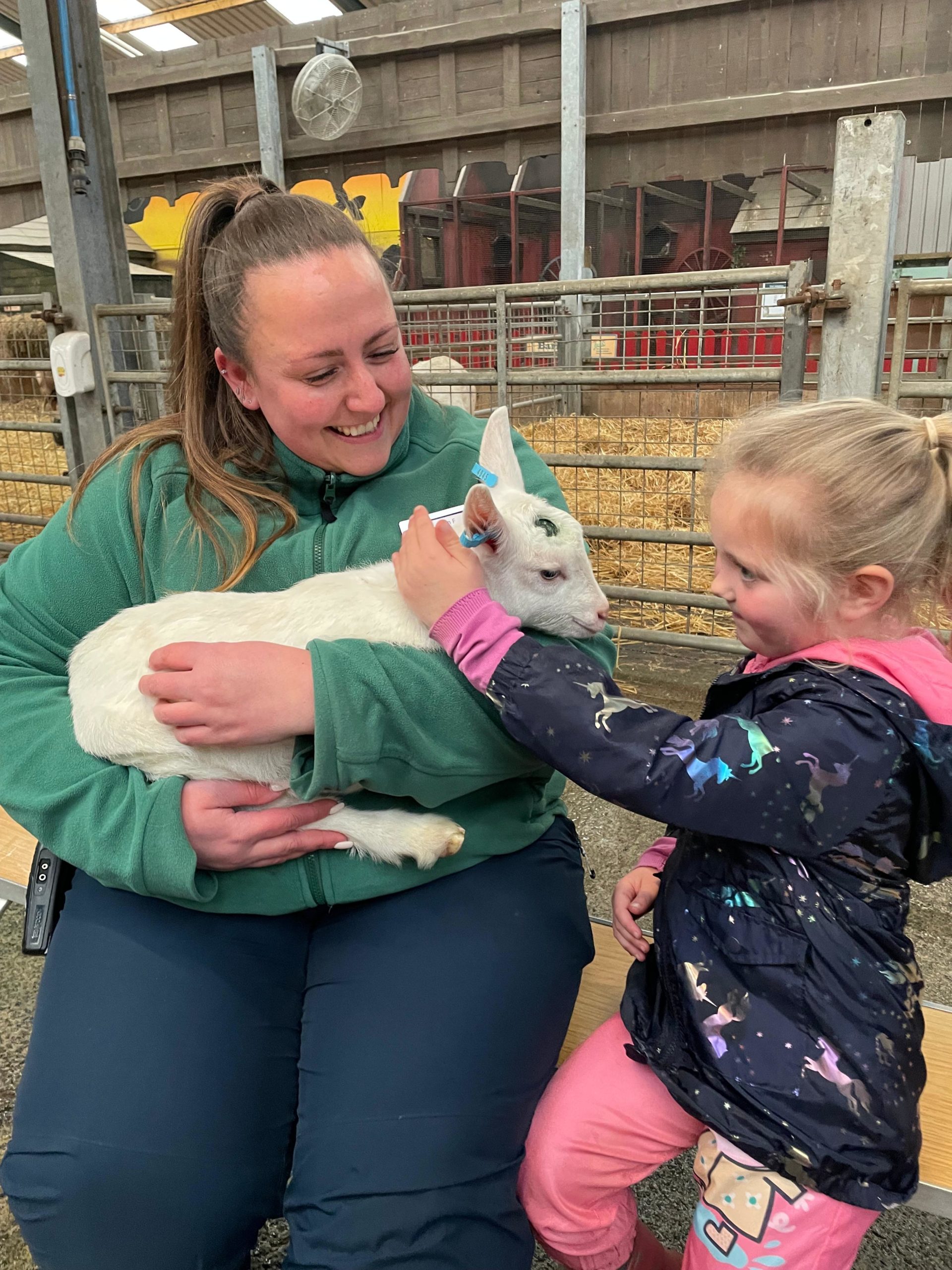 Kid's Farm & Farm Park • The Jolly Barn at Folly Farm