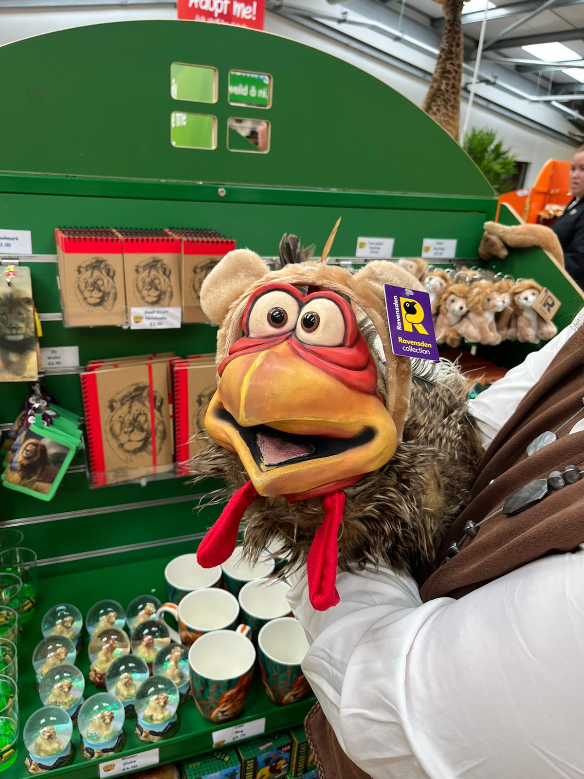 What’s on at Folly Farm Adventure Park and Zoo in Wales