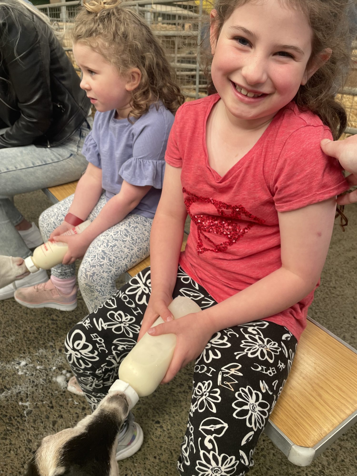 Bottle Feed The Goats at Folly Farm Adventure Park & Zoo