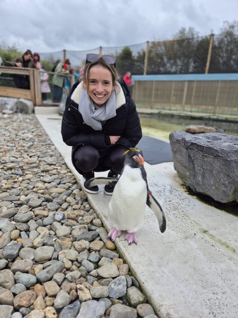Penguin Experience UK • Feed the Penguins at Folly Farm